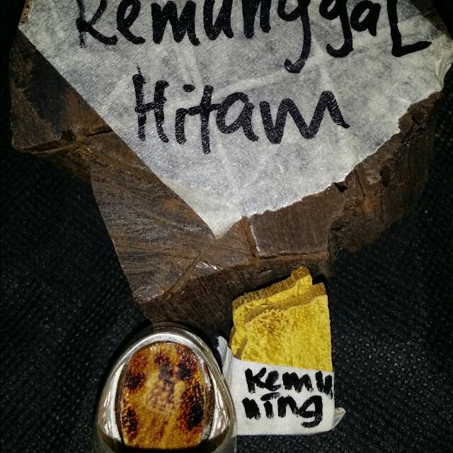 Kayu Gemunggal Hitam+Kayu Kemuning Kuning, Hobbies & Toys, Memorabilia ...
