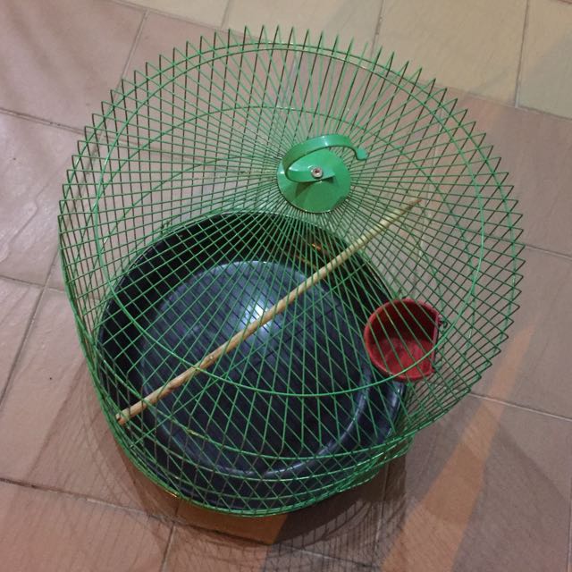 Round Metal Cage About 20 Inch, Pet Supplies, Homes & Other Pet ...