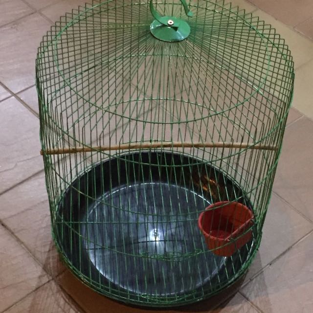 Round Metal Cage About 20 Inch, Pet Supplies, Homes & Other Pet ...