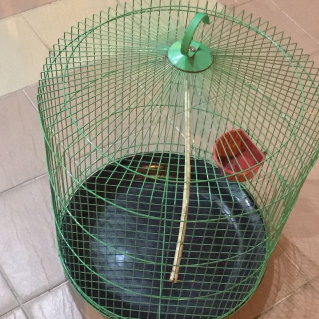 Round Metal Cage About 20 Inch, Pet Supplies, Homes & Other Pet ...