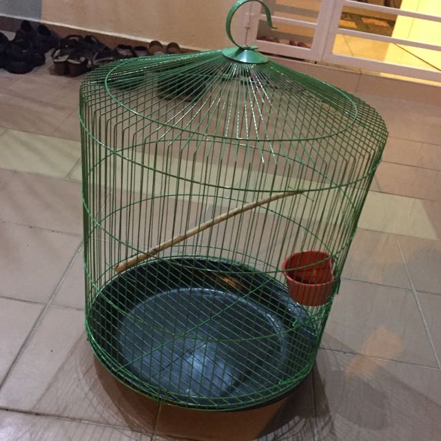 Round Metal Cage About 20 Inch, Pet Supplies, Homes & Other Pet ...