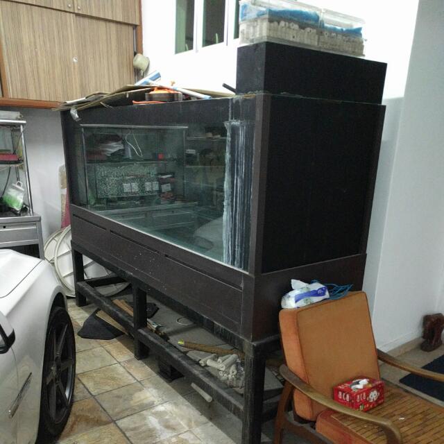 8 Feet Fish Tank, Pet Supplies, Homes & Other Pet Accessories on Carousell
