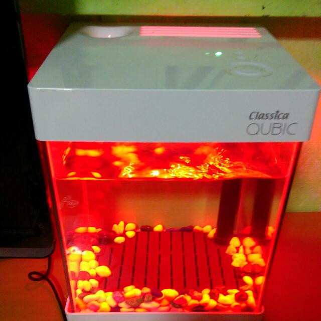 8L Classica Qubic Fish Tank, Pet Supplies, Homes & Other Pet ...