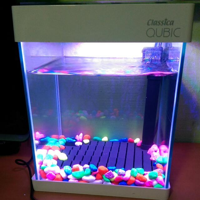 8L Classica Qubic Fish Tank, Pet Supplies, Homes & Other Pet ...