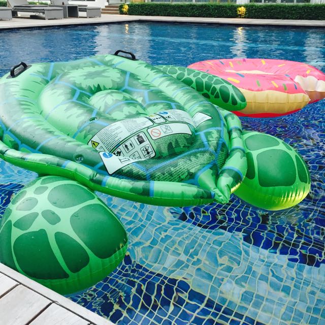 Gigantic Turtle Float !! Brand New !!, Everything Else on Carousell