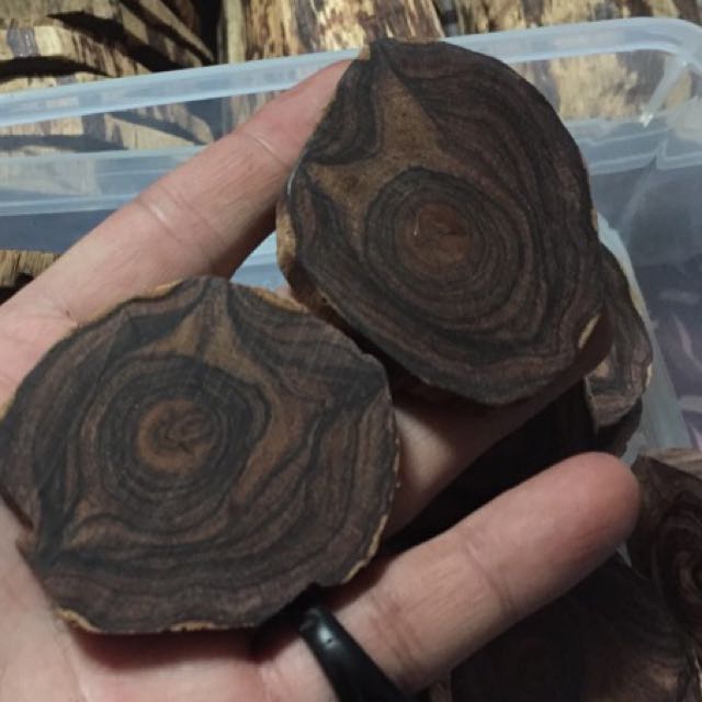 Kayu Menang. win Wood , 招横财风水木片。, Vintage & Collectibles on Carousell