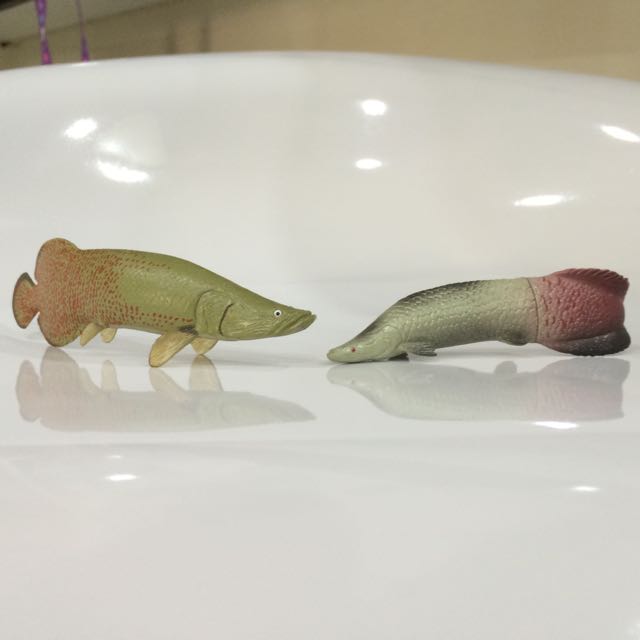 Ancient Fish (arapaima Miniature), Hobbies & Toys, Toys & Games on ...
