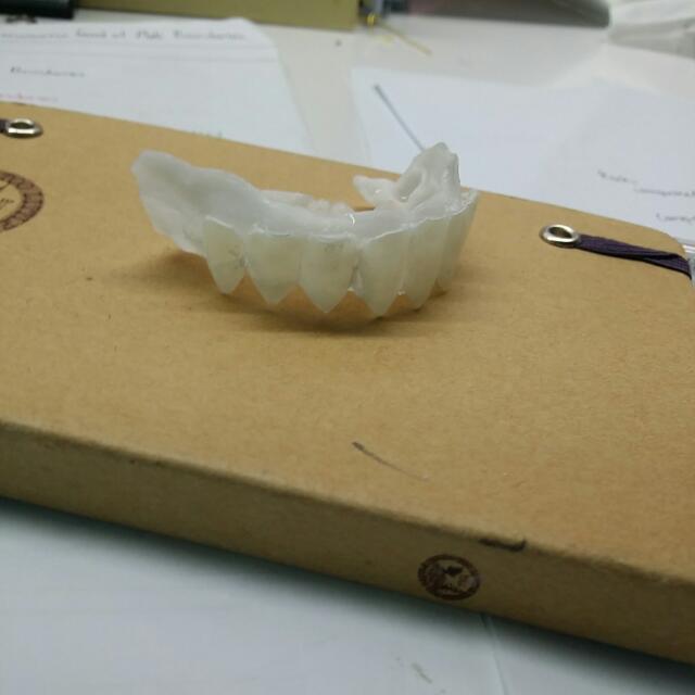 Polymorph Instamorph Mouldable Plastic Cosplay Teeth Mould Diy ...