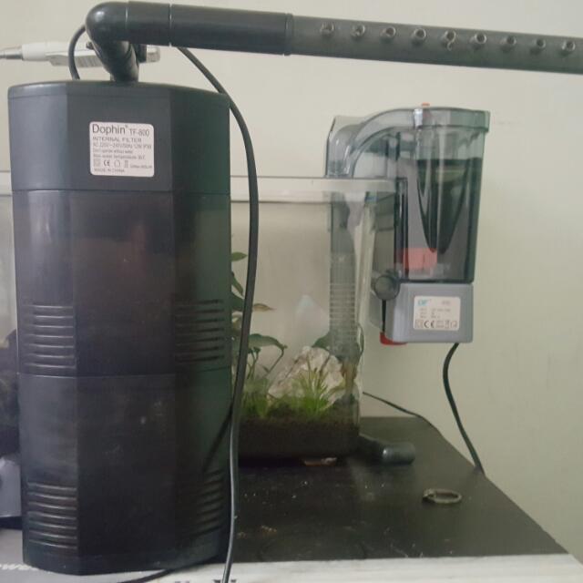 Dolphin TF-800 Filter, Pet Supplies, Homes & Other Pet Accessories on ...
