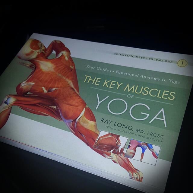 The Key Muscles of Yoga -Ray Long, Hobbies & Toys, Books & Magazines ...