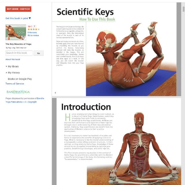 The Key Muscles of Yoga -Ray Long, Hobbies & Toys, Books & Magazines ...