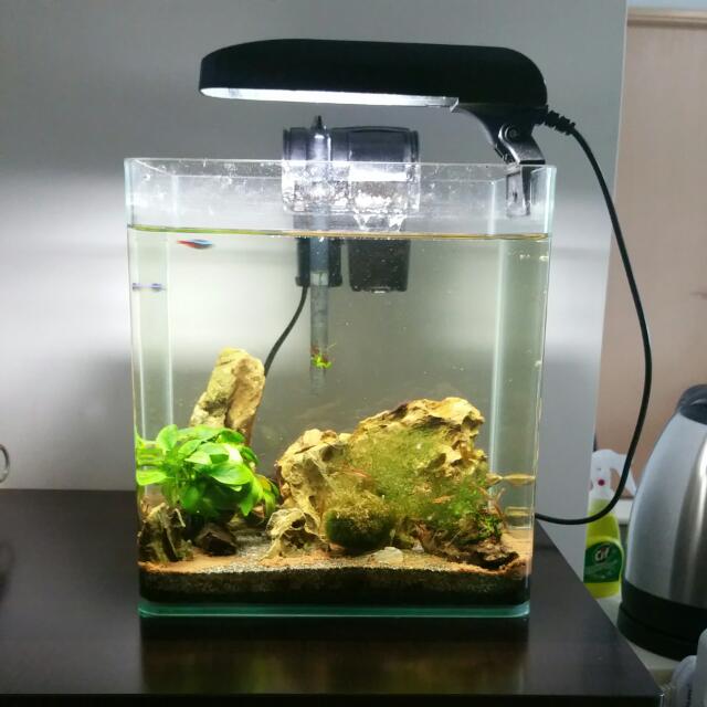 Plug And Play Aquarium, Everything Else on Carousell