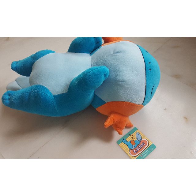 Big Sleeping Mudkip, Hobbies & Toys, Toys & Games on Carousell