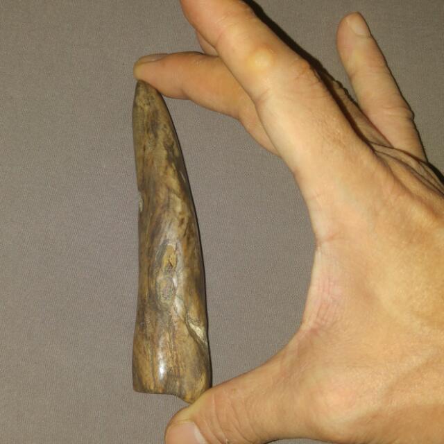 Fosil Les Kayu Jati Alami(Petrified Teak Wood), Hobbies & Toys ...