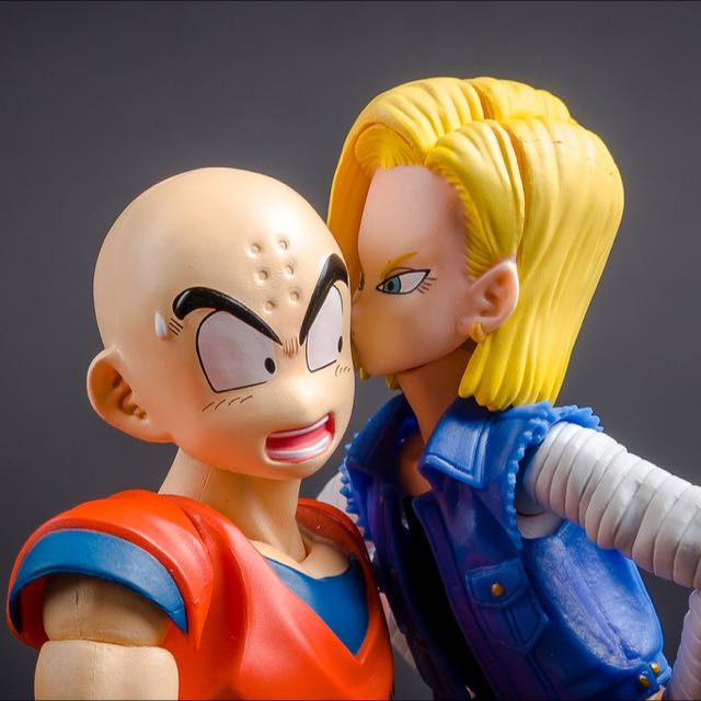 Android 18 And Krillin