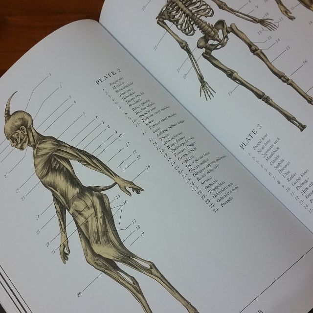 The Resurrectionist: The Lost Work of Dr. Spencer Black, Hobbies & Toys ...