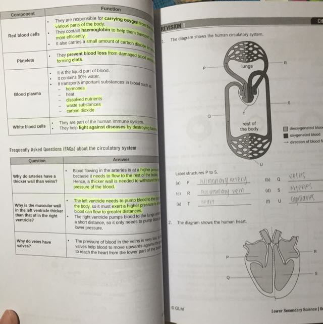 GLM Understanding BIOLOGY Lower Secondary Science By Lim Chong Yi ...
