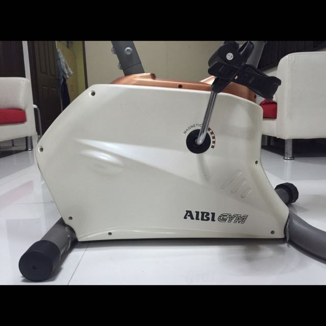 AIBI B670 Upright Magnetic Gym Bicycle, Sports Equipment, Exercise ...