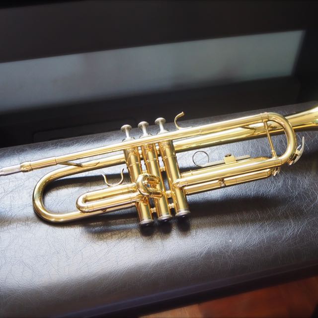 Trumpet Livingstone, Hobbies & Toys, Music & Media, Musical Instruments ...