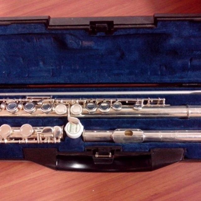 [sold] Buffet Crampon Flute, Hobbies & Toys, Music & Media, Musical ...