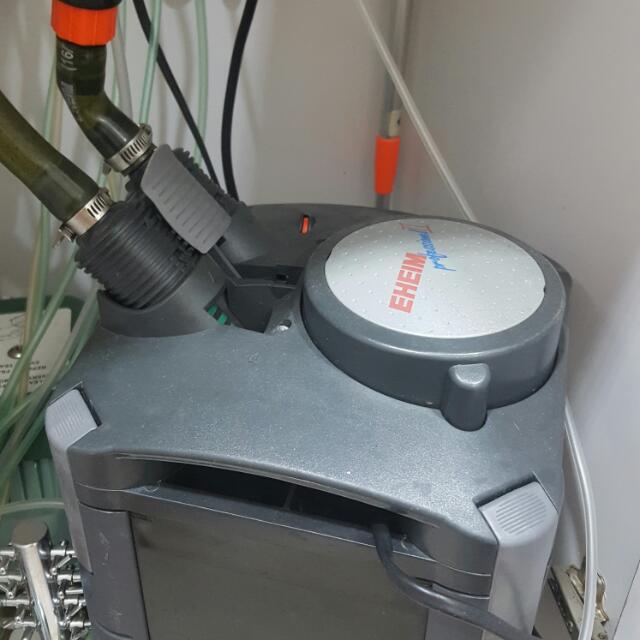 Eheim Professional-2 Canister (2026) with valve + Eheim substrate pro ...