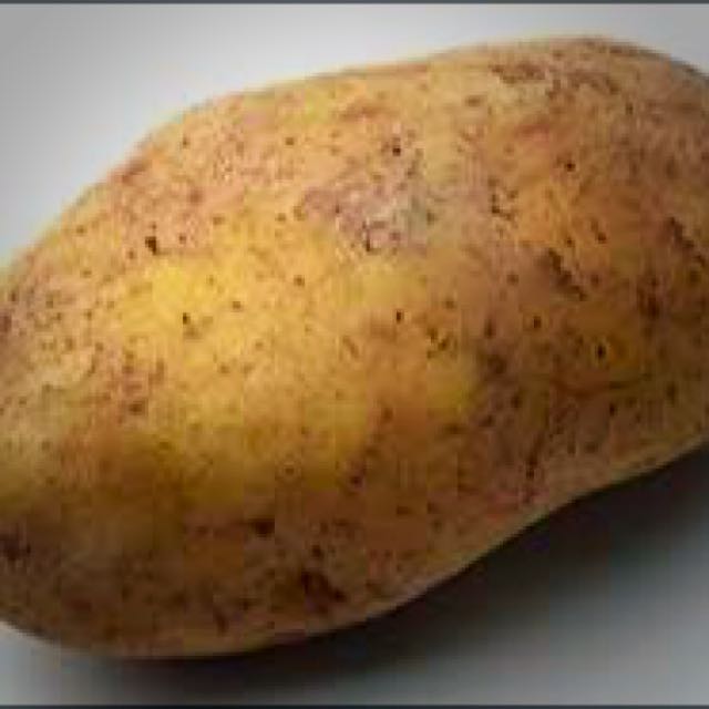 Extremely rare Potato, Luxury, Bags & Wallets on Carousell