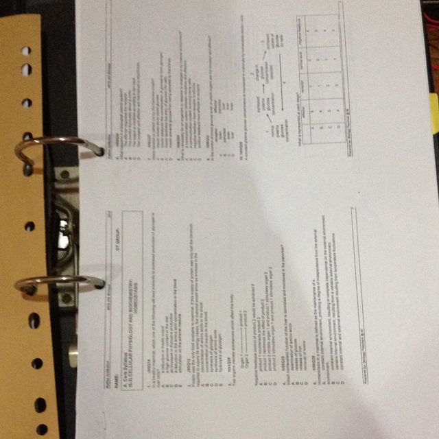 RJC H2 Biology Tutorial Worksheets + Answers, Hobbies & Toys, Books ...
