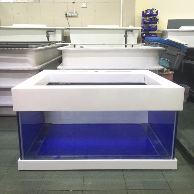4ft X 3ft Width Fish Tank, Pet Supplies, Homes & Other Pet Accessories ...