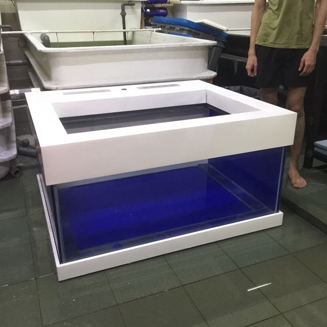 4ft X 3ft Width Fish Tank, Pet Supplies, Homes & Other Pet Accessories ...