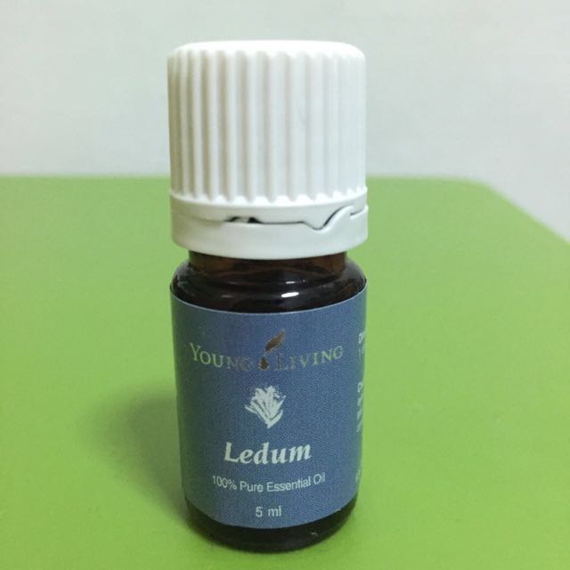 LEDUM Essential Oil, Beauty & Personal Care, Face, Face Care on Carousell