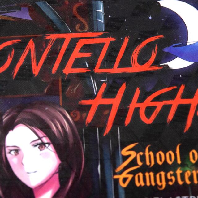 Montello High: School Of Gangsters, Hobbies & Toys, Books & Magazines ...