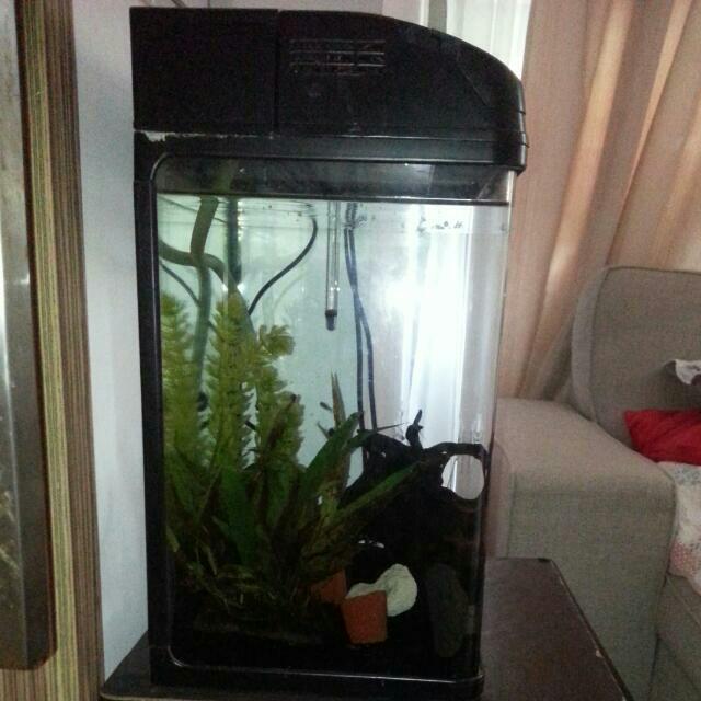 Glass Fish Tank - JEBO R138, Pet Supplies, Homes & Other Pet ...