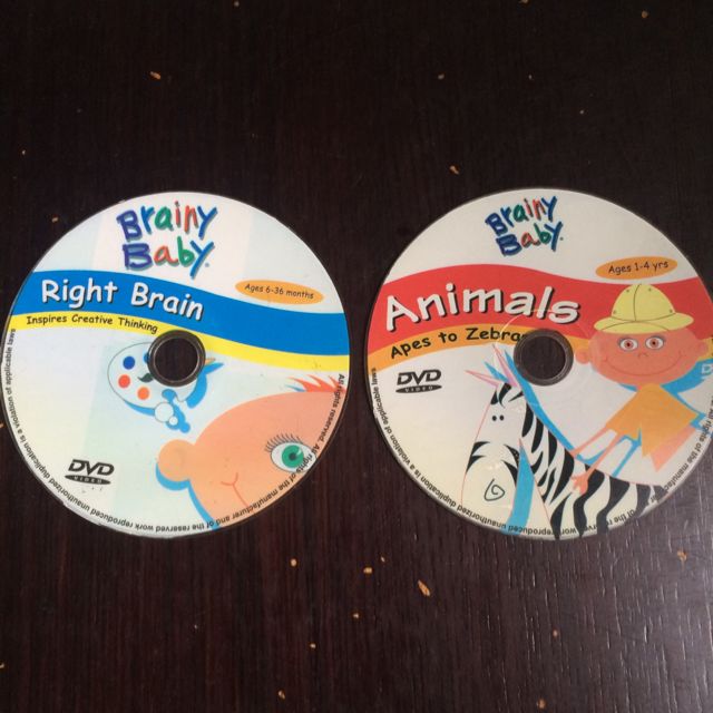 Children DVD : Brainy Baby : Animals, Right Brain, Hobbies & Toys ...