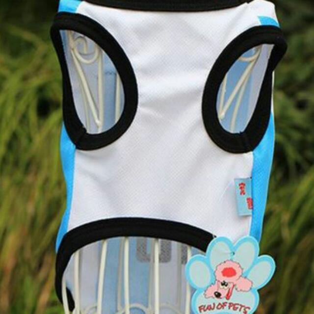 Argentina Singlet, Pet Supplies, Health & Grooming on Carousell