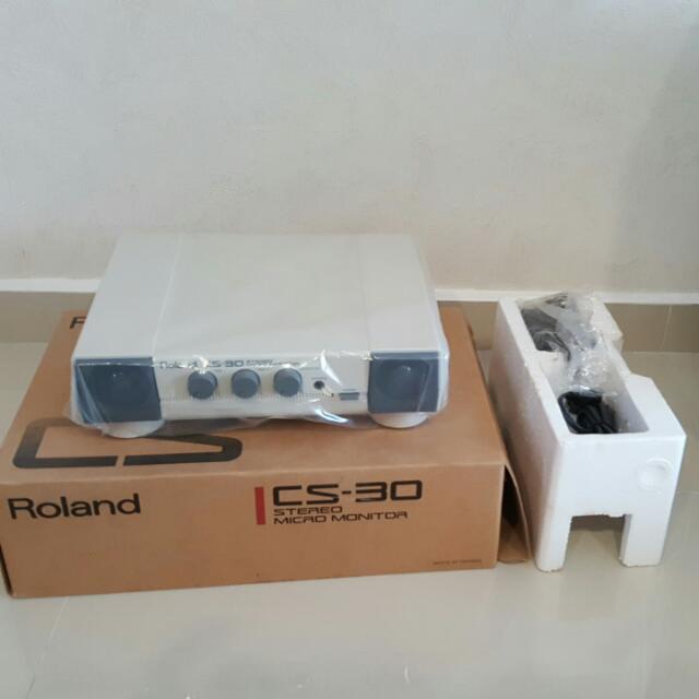 Roland CS-30 stereo micro monitor, Audio, Soundbars, Speakers ...