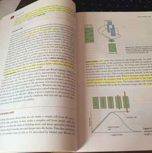 Basic Vision - Revised Edition, Hobbies & Toys, Books & Magazines ...