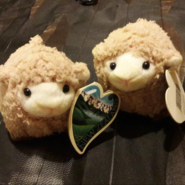 Cute Mini Plush Sheep- Made Out Of Real Wool! Frm New Zealand., Hobbies ...