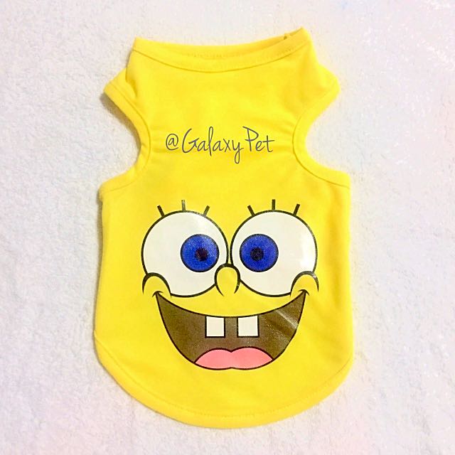 SpongeBob (Med), Pet Supplies, Homes & Other Pet Accessories on Carousell
