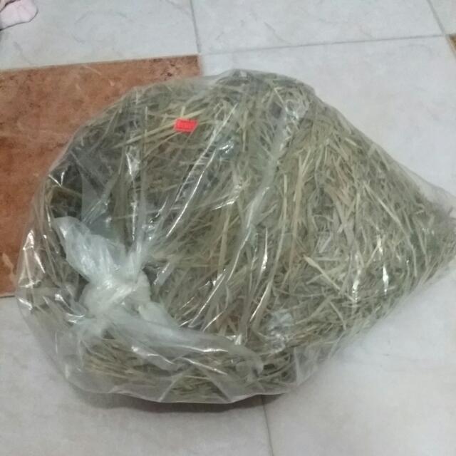 GEX Rabbits Pellets Food, Pet Supplies, Pet Food on Carousell