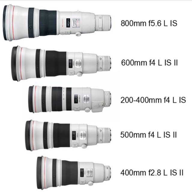 Canon EF 800mm f/5.6L IS USM Lens, Photography, Cameras on Carousell