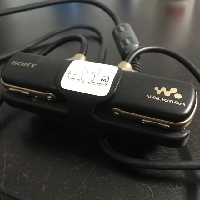 Sony Walkman NWW270, Computers & Tech, Parts & Accessories, Networking ...