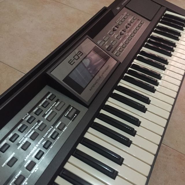 Roland E-09 Interactive Arranger, Hobbies & Toys, Music & Media ...