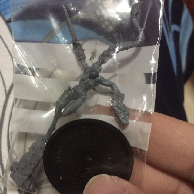 Warhammer 40k Callidus Temple Assassin, Hobbies & Toys, Toys & Games on ...