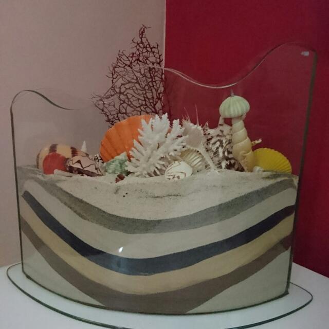 Shells Glass Display, Furniture & Home Living, Home Decor, Vases ...