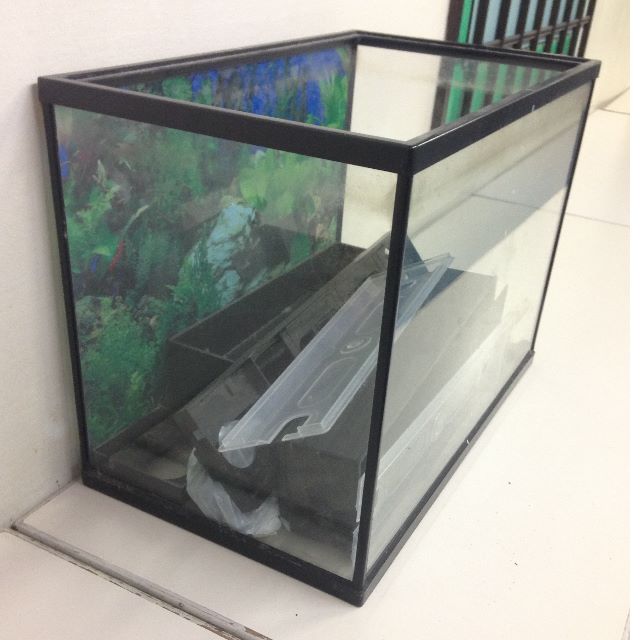 2 FEET FISH TANK, Furniture & Home Living, Home Decor, Other Home Decor ...