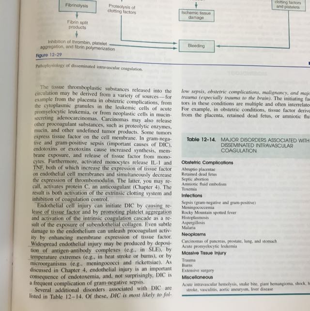 7th Edition Robbins Basic Pathology, Hobbies & Toys, Books & Magazines ...