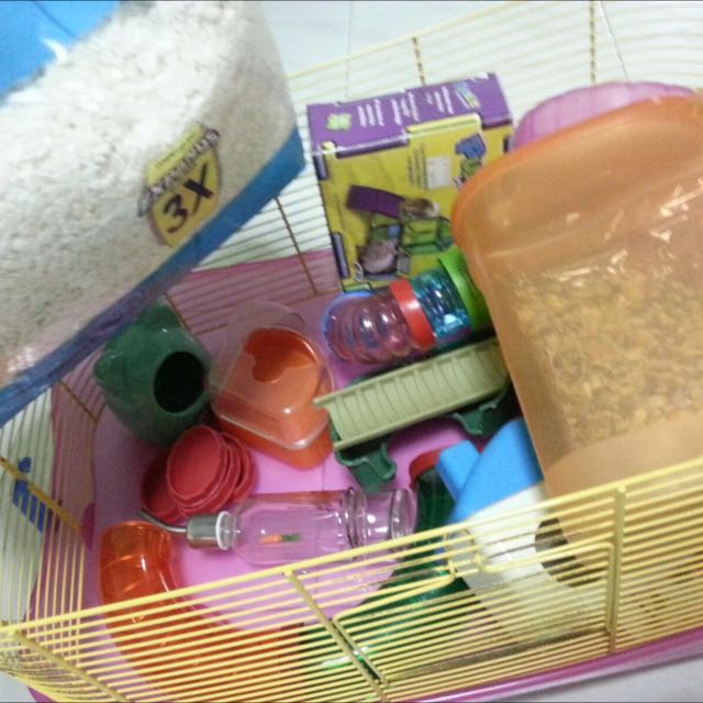 Hamster Stuff, Pet Supplies, Homes & Other Pet Accessories on Carousell