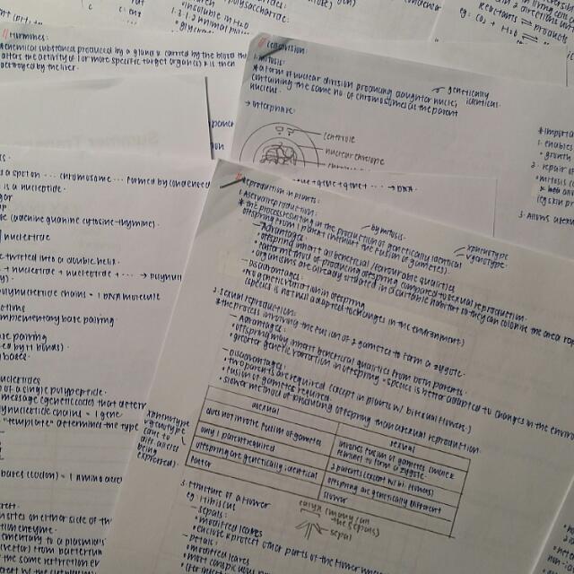 O-LEVEL BIOLOGY CHEAT SHEETS, Hobbies & Toys, Books & Magazines ...