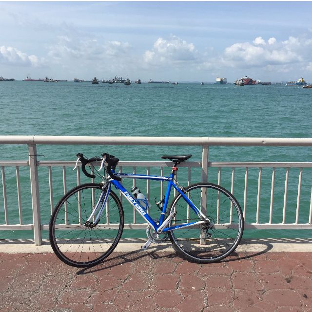 Polygon Helios 200 Road Bike, Sports Equipment, Bicycles & Parts ...