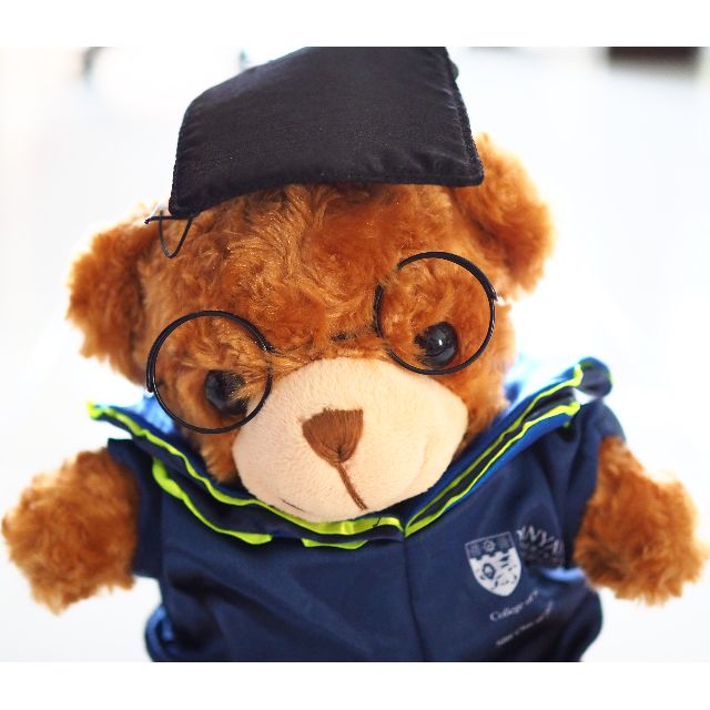 NTU Graduation Bear, Hobbies & Toys, Toys & Games on Carousell